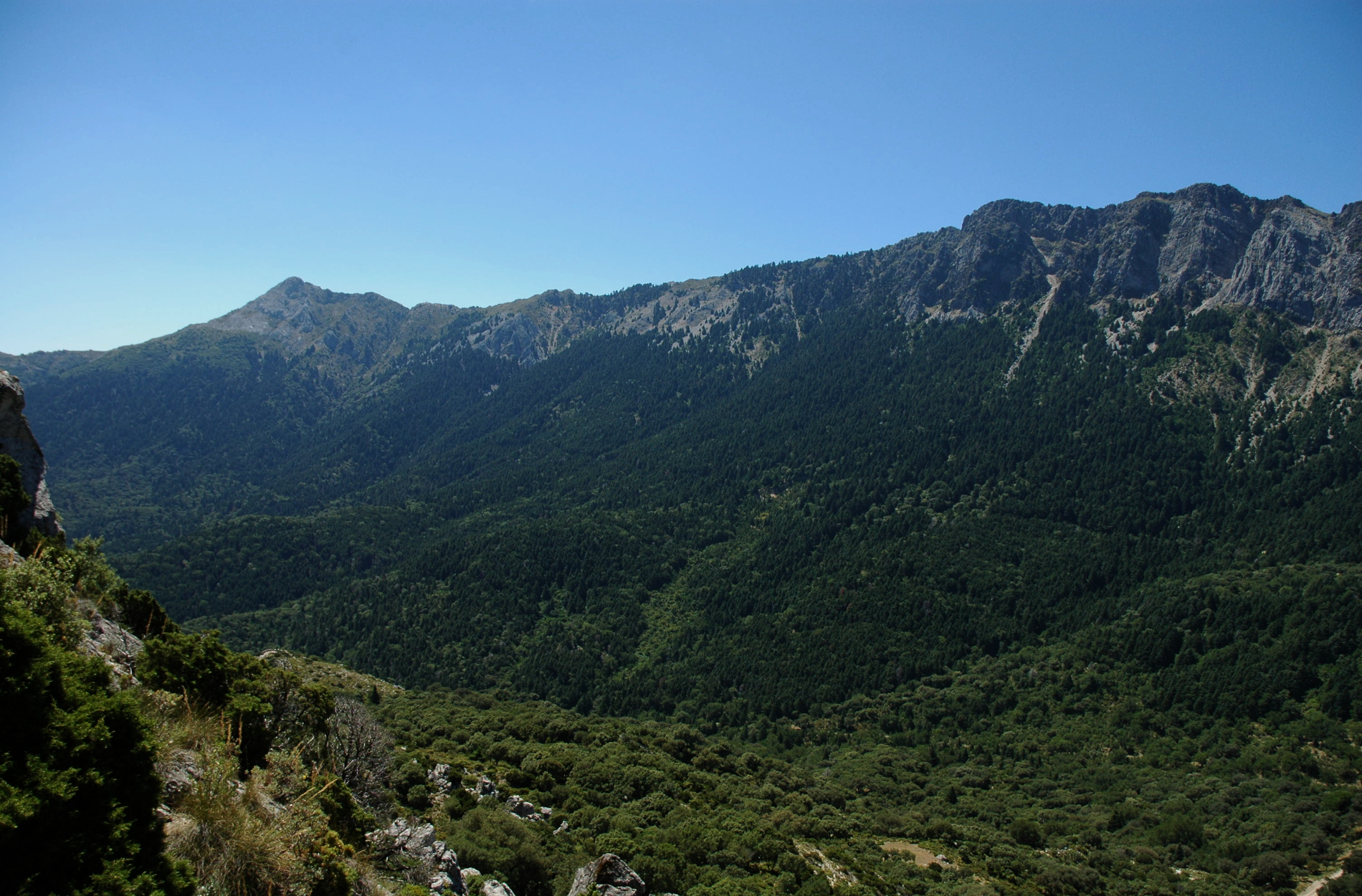 Mediterranean Paleoecology | MedPaleo